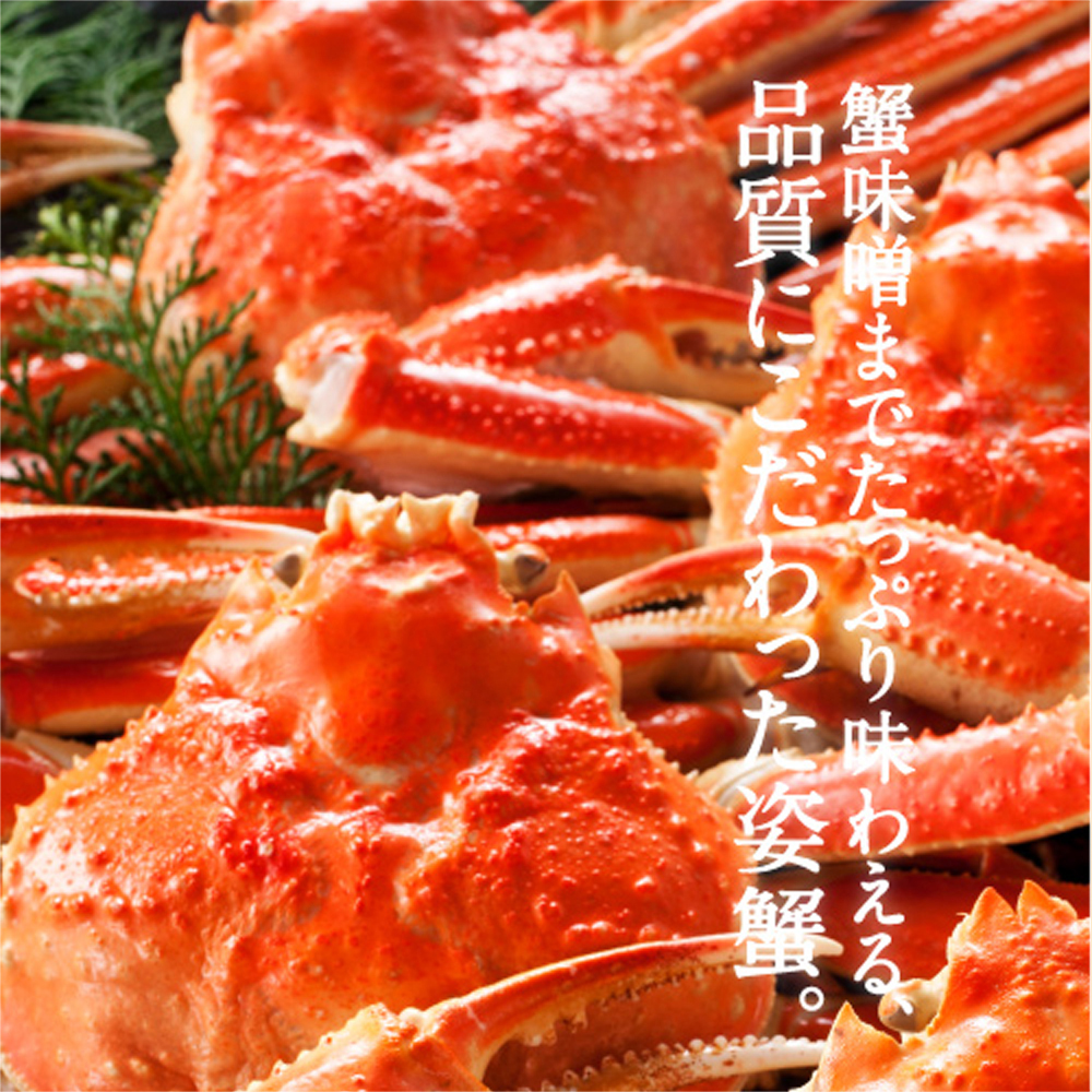 main01【急速冷凍で高品質】